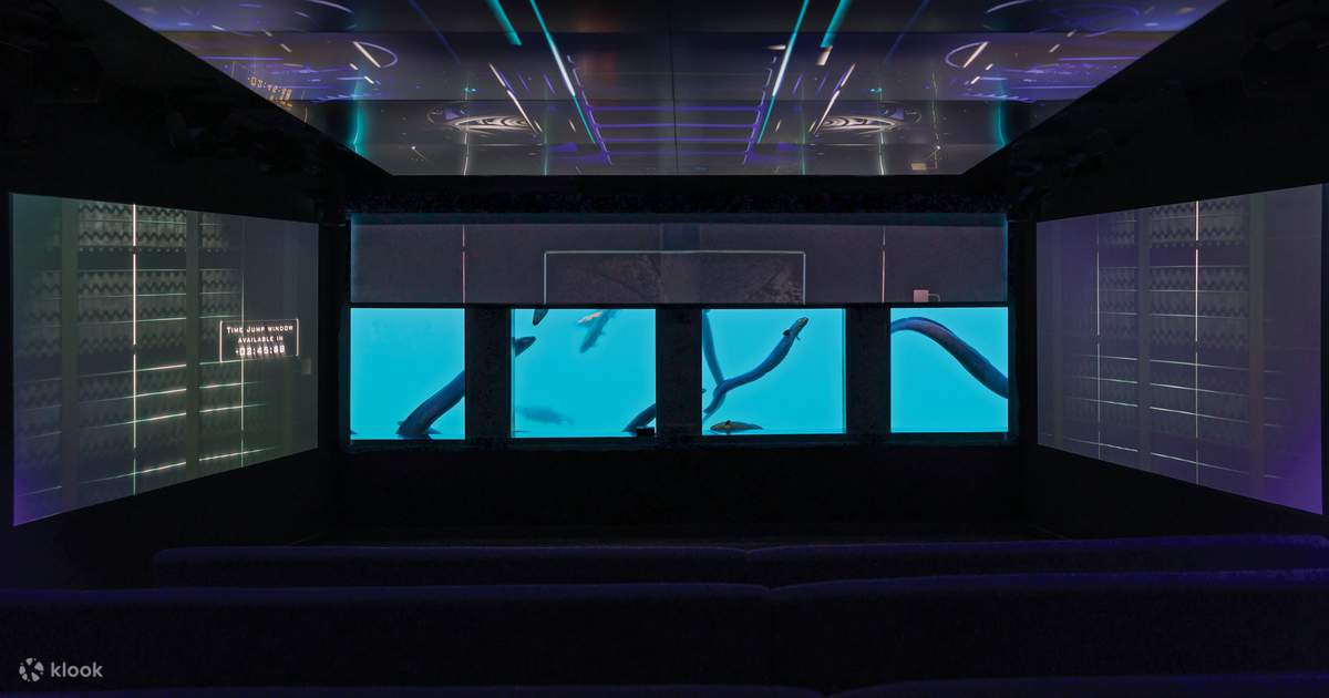 Time Tripper Queenstown การเดินทางเสมือนจริง - Klook ประเทศไทย